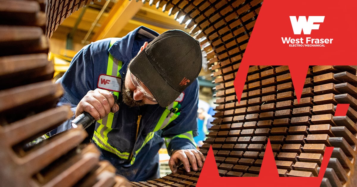 Industrial Electric Motors, Generators, Parts and Components | West ...